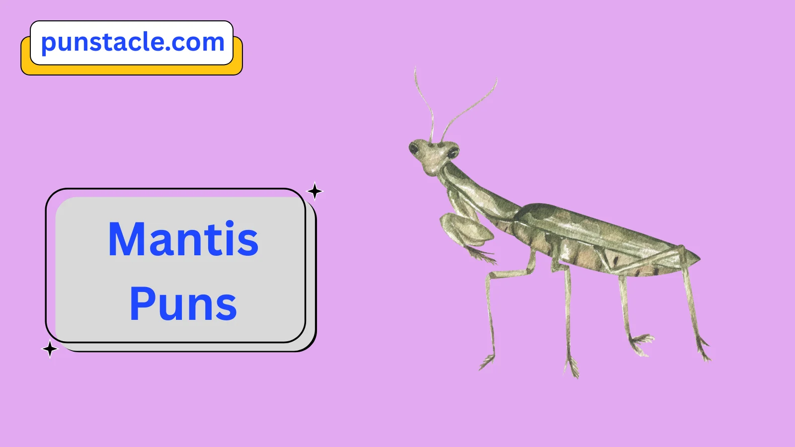599 +Mantis Puns That’ll Keep You Praying for More(2026) 😂🦗