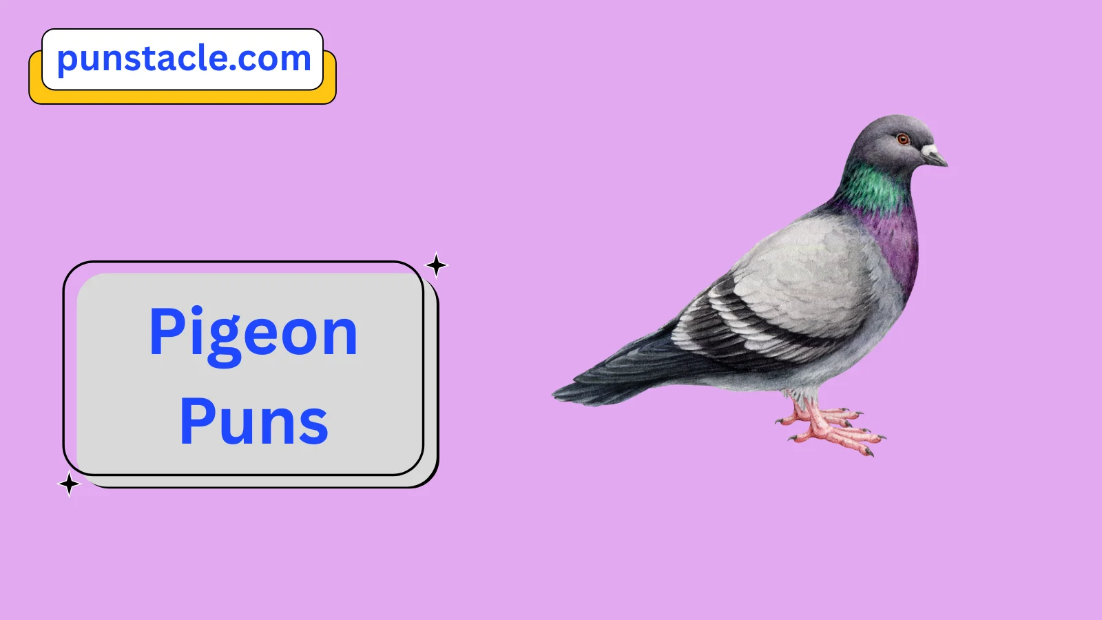 579 +Pigeon Puns That’ll Make You Coo With Laughter(2026) 🕊️😂